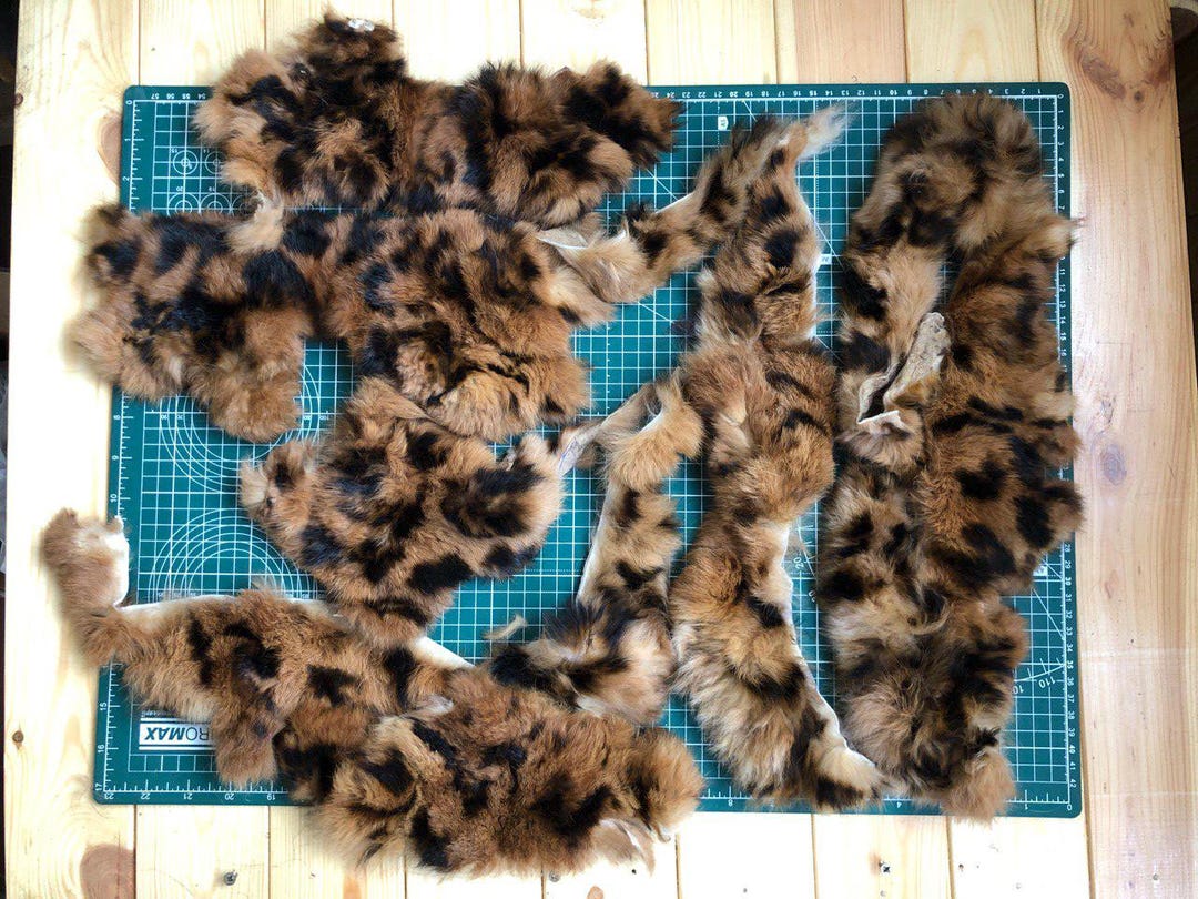Rabbit Fur With Jungle Cat Coloring Real Rabbit Scraps Fur Chips Fur ...