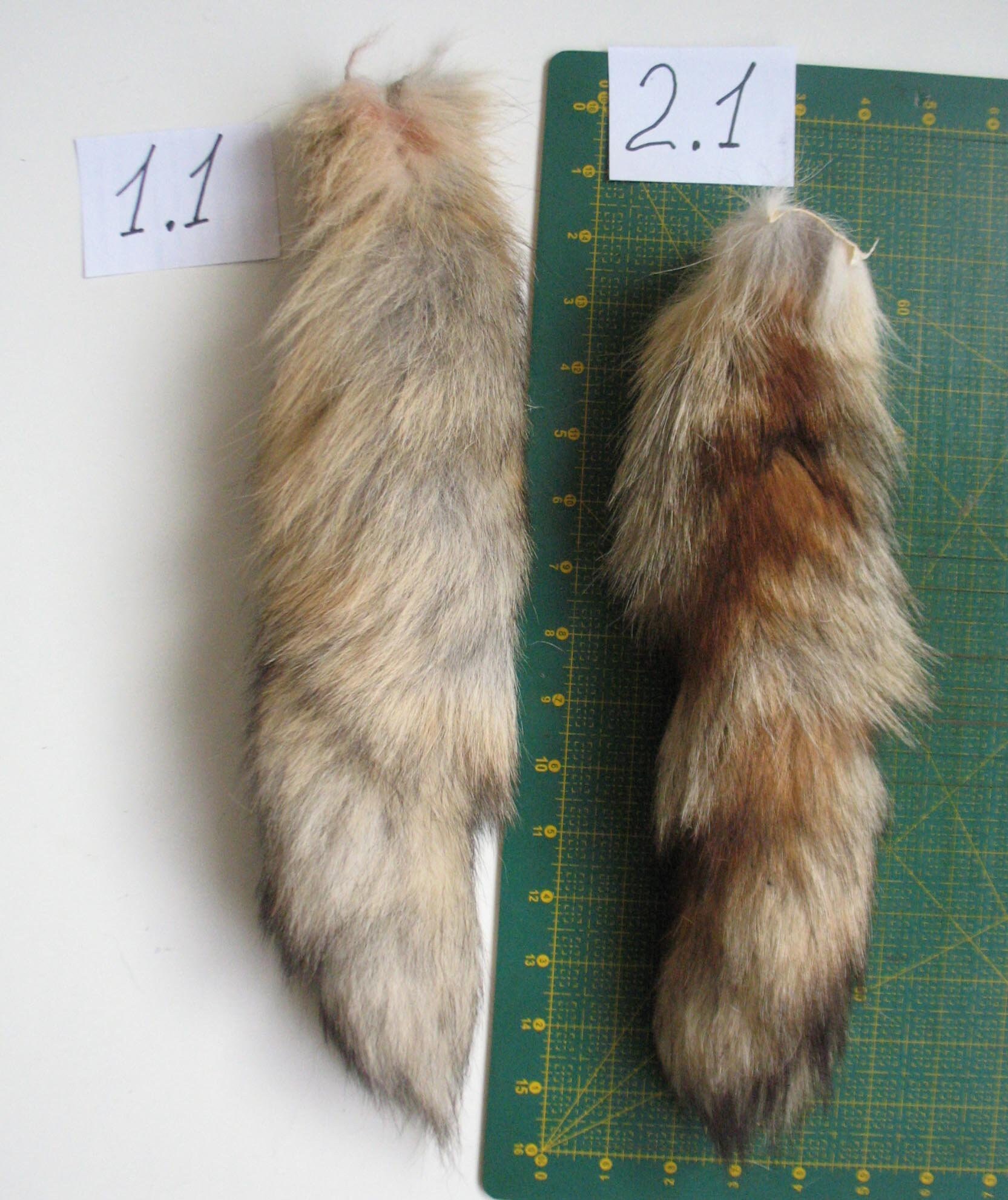Natural Tail Fox Real Fox Tail Fur Fox Crafting Fur Trimming - Etsy Canada