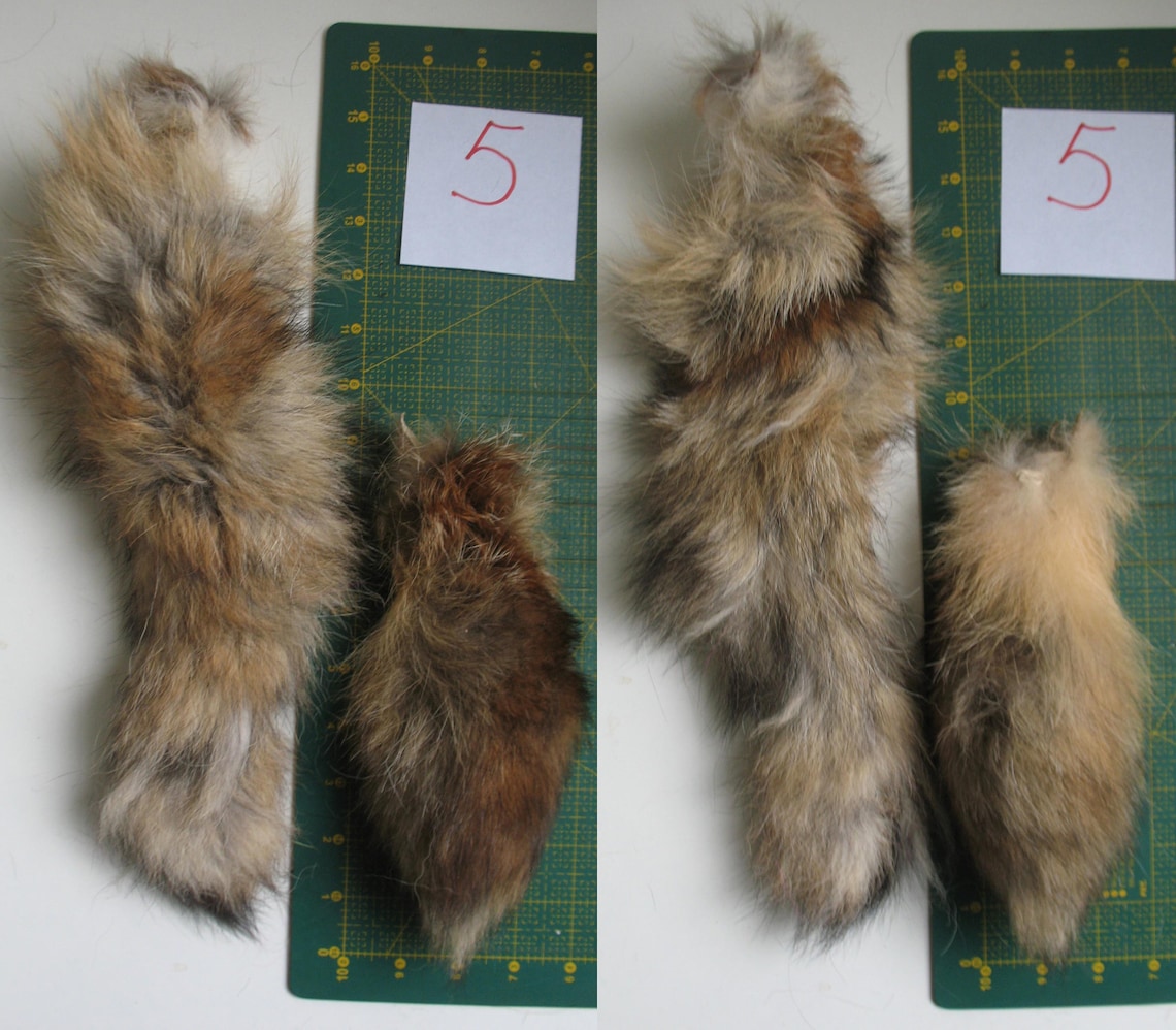 Natural Tail Fox Real Fox Tail Fur Fox Crafting Fur Trimming - Etsy Canada