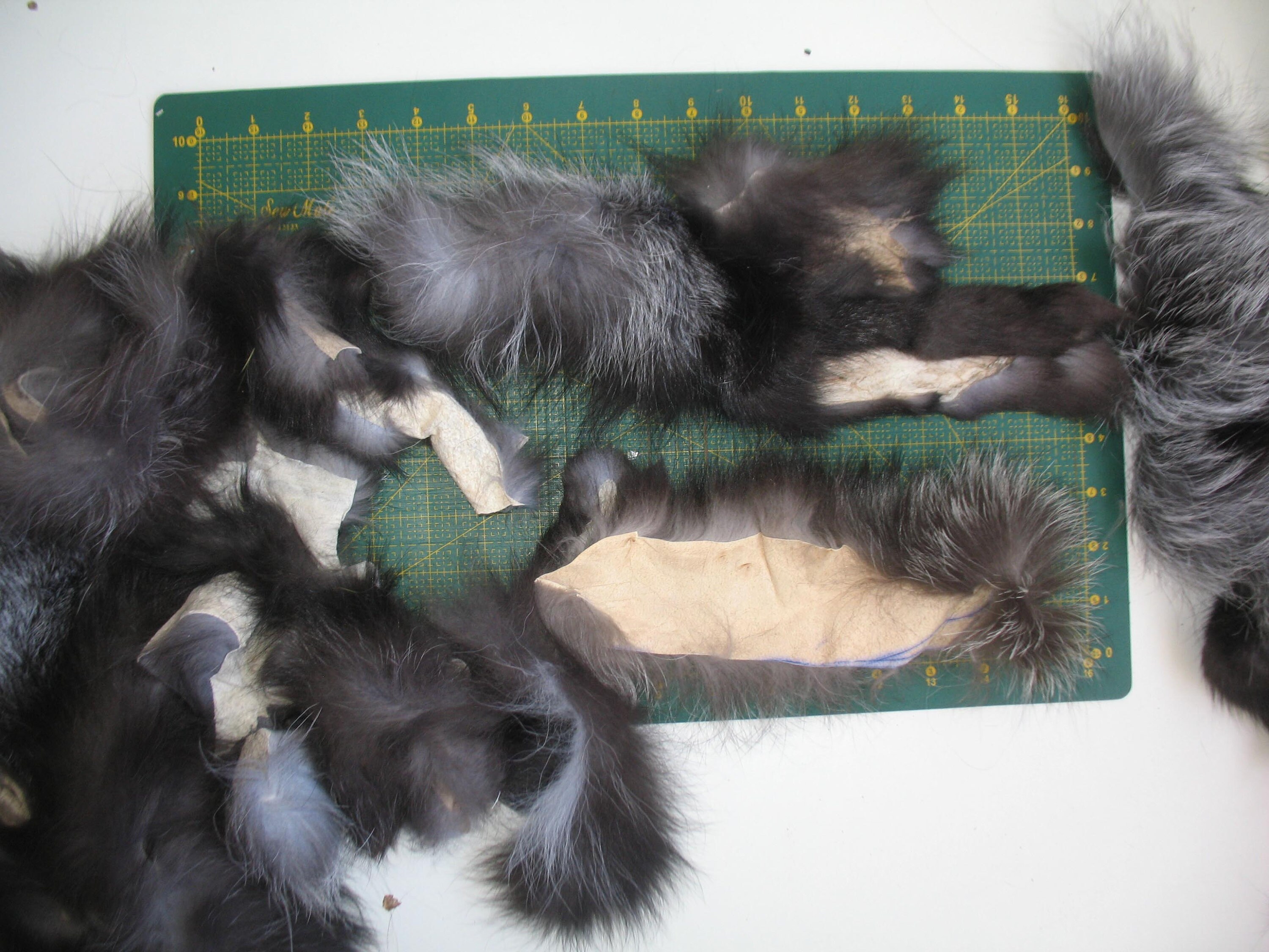 Fur Scraps Silver Fox Scrap Fur Fox Scraps Natural Silver Fox Fur Fox ...