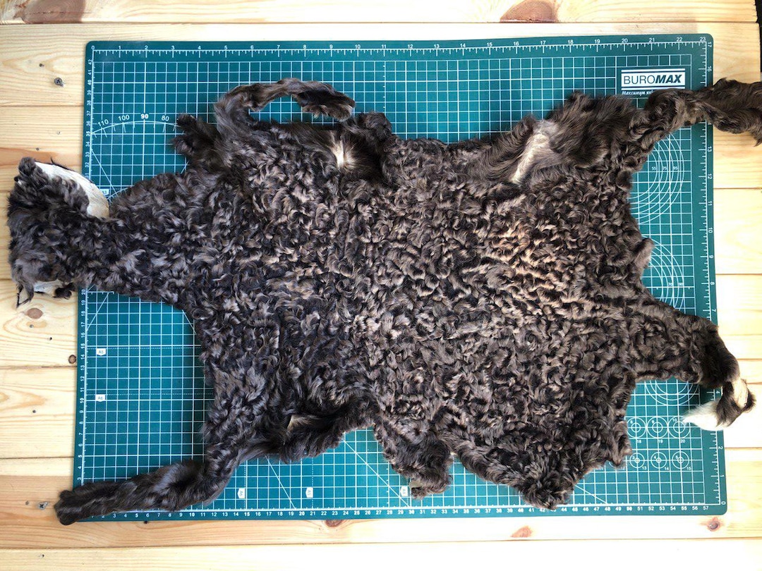 Whole Karakul Fur Real Karakul Fur Broadtail Wool Lamb Astrakhan Wool ...