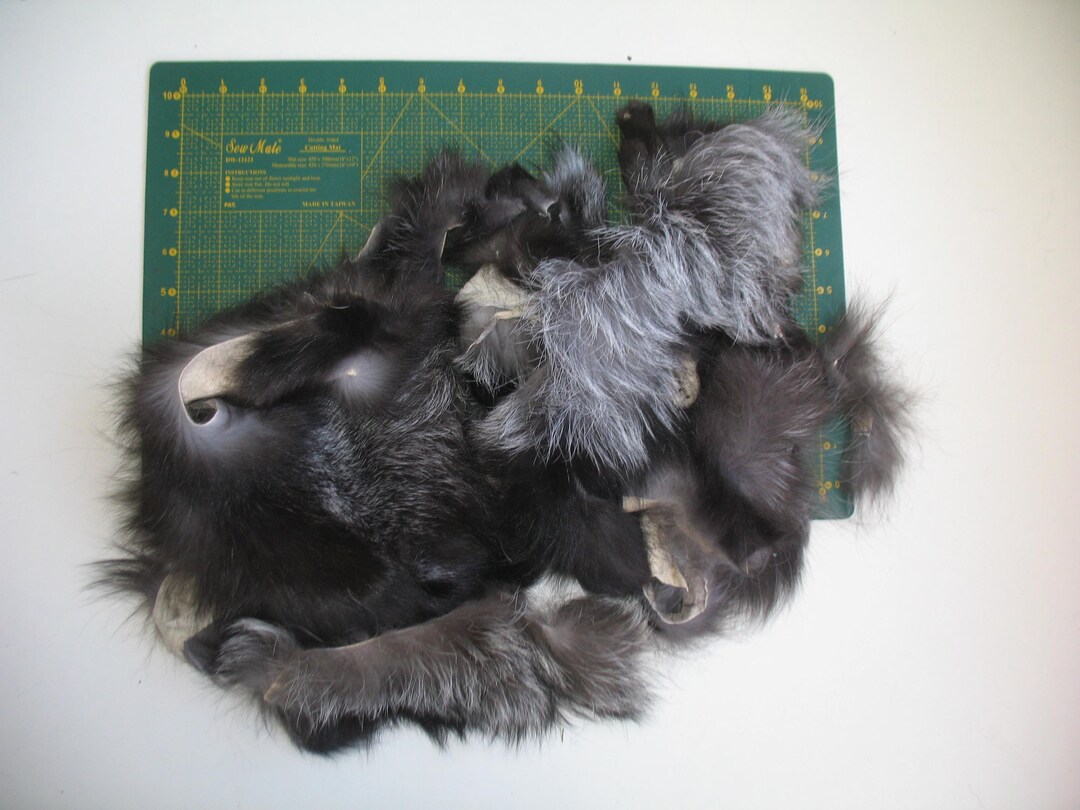 Fur Scraps Silver Fox Scrap Fur Fox Scraps Natural Silver Fox Fur Fox ...
