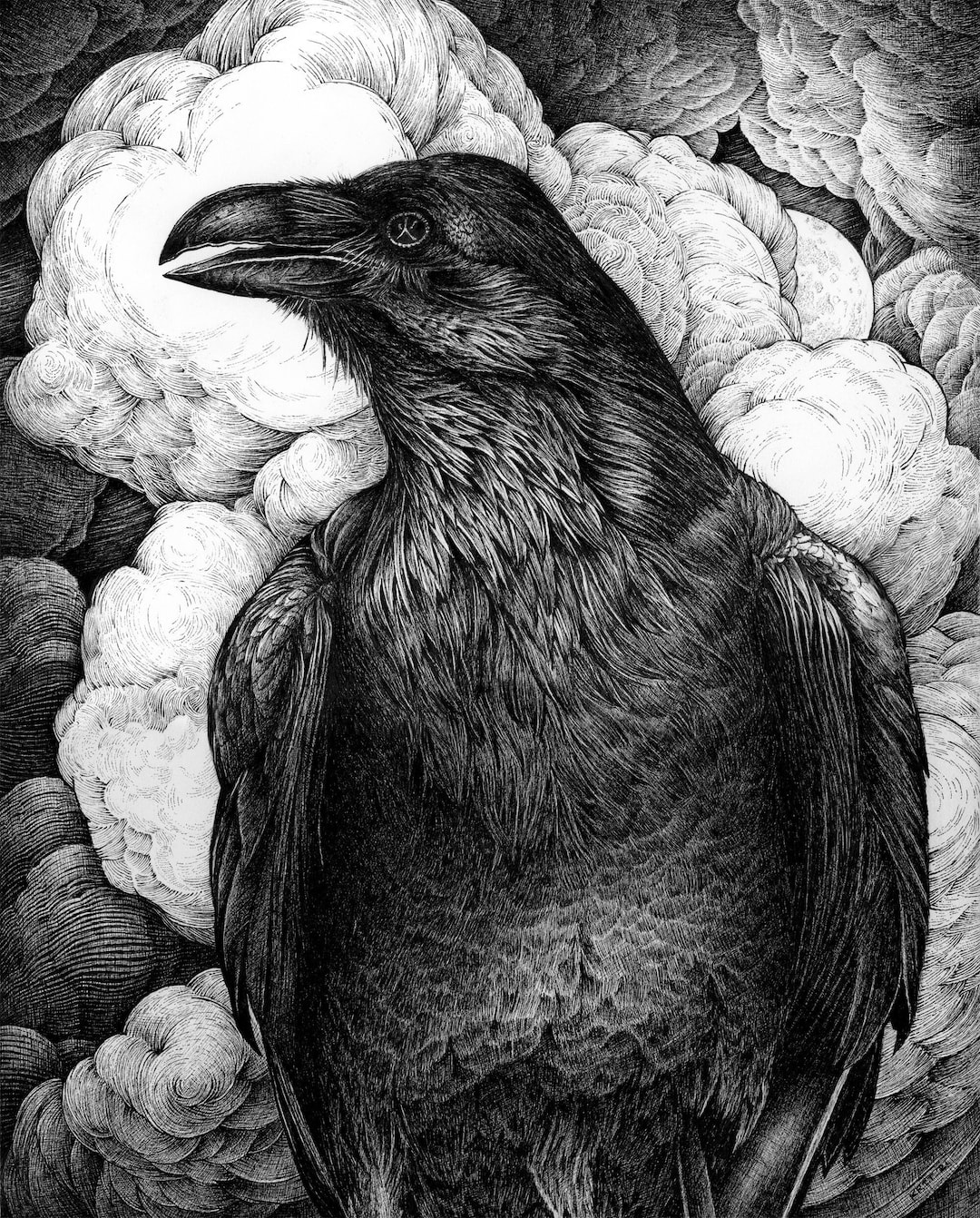 Fire Raven: Limited Edition A3+ and A2 Giclée Print Pen and Ink Bird ...