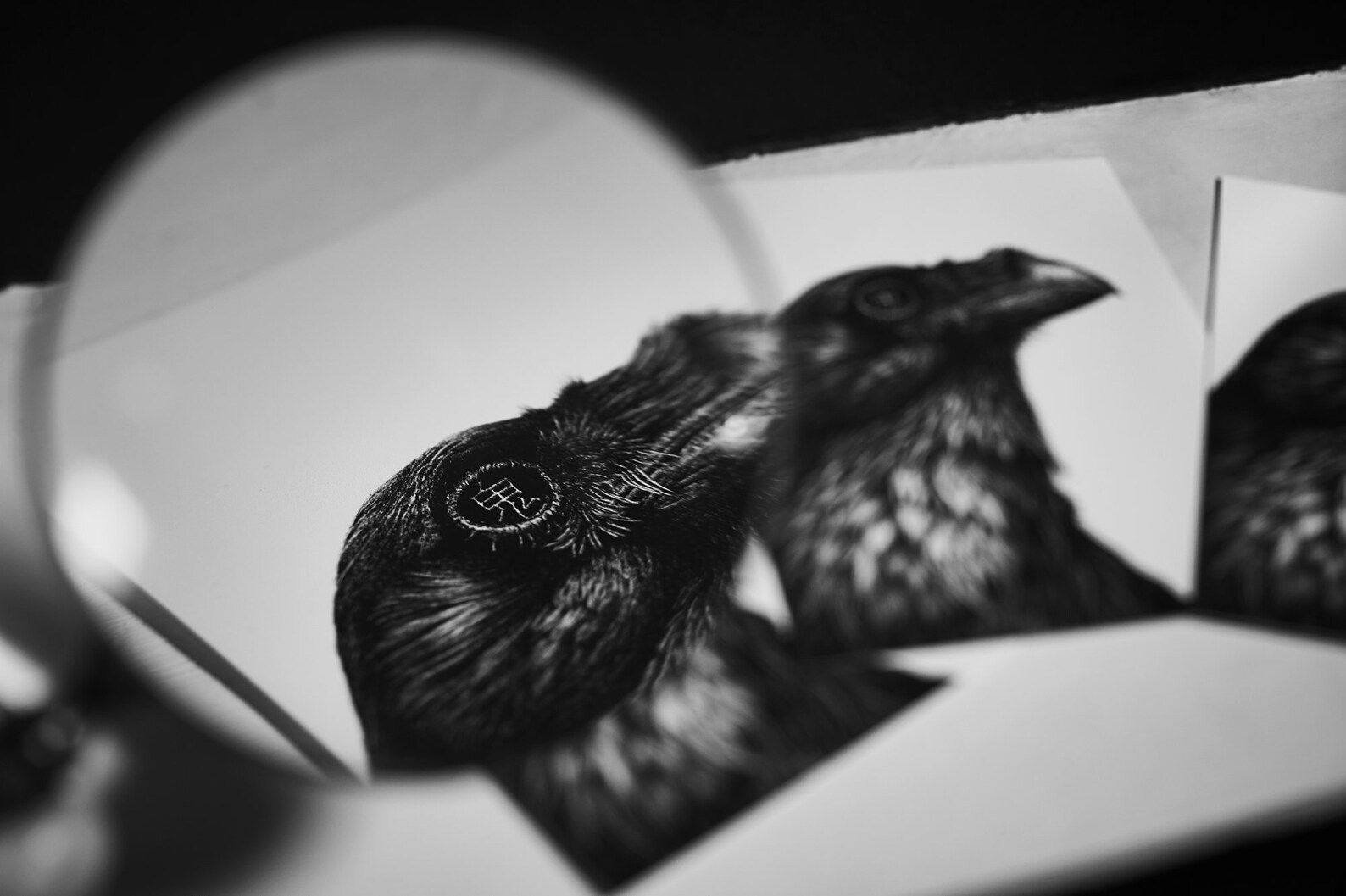 Ghost Raven Postcard A6 Size Illustrated Card Raven - Etsy