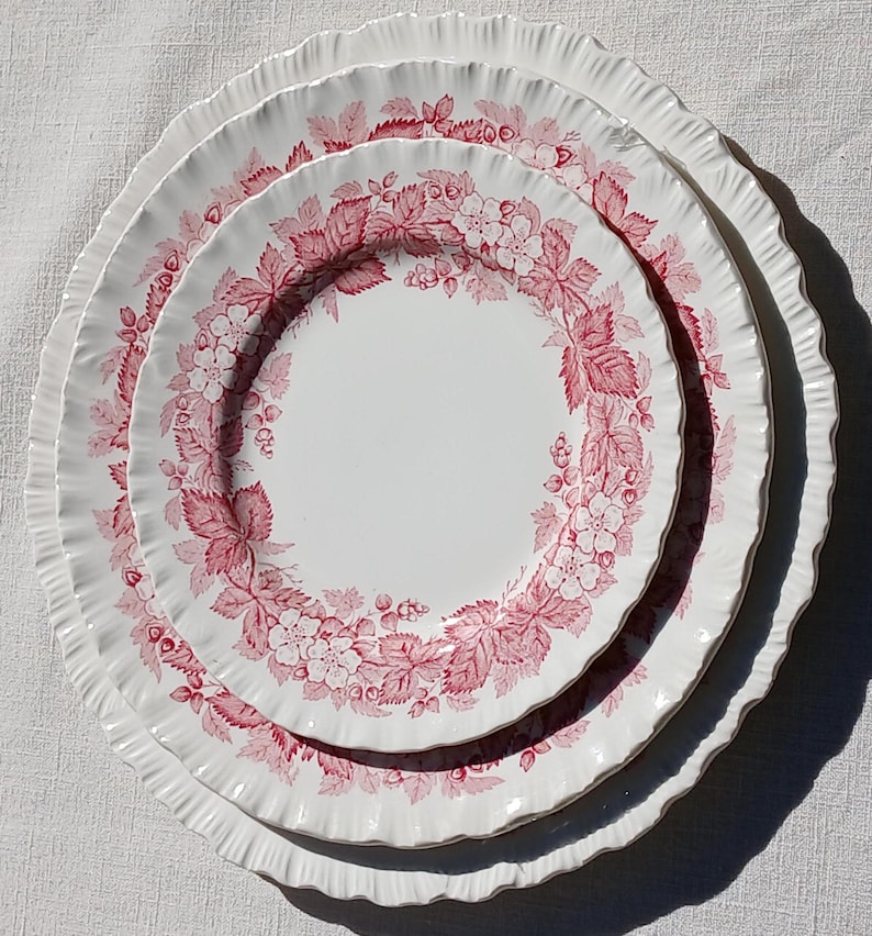 Bramble Pink Shell Edge by Wedgewood, Luncheon and Salad Plates, Soup ...