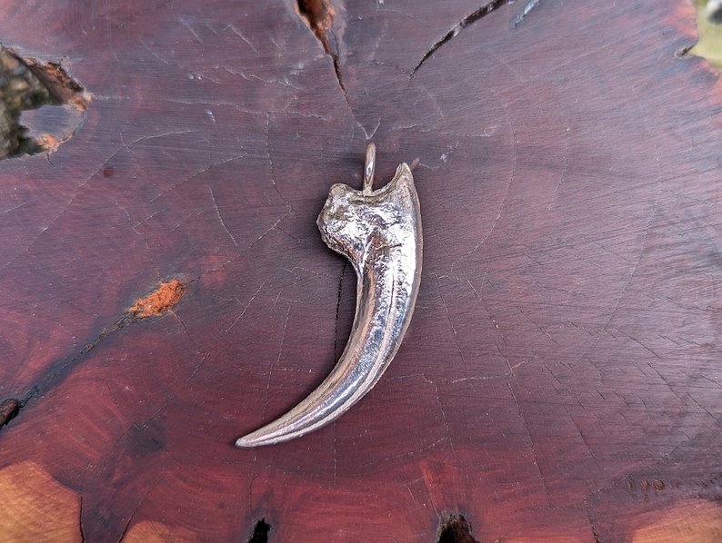 Velociraptor Killing Claw Silver Jewelry Pendant Necklace - Etsy