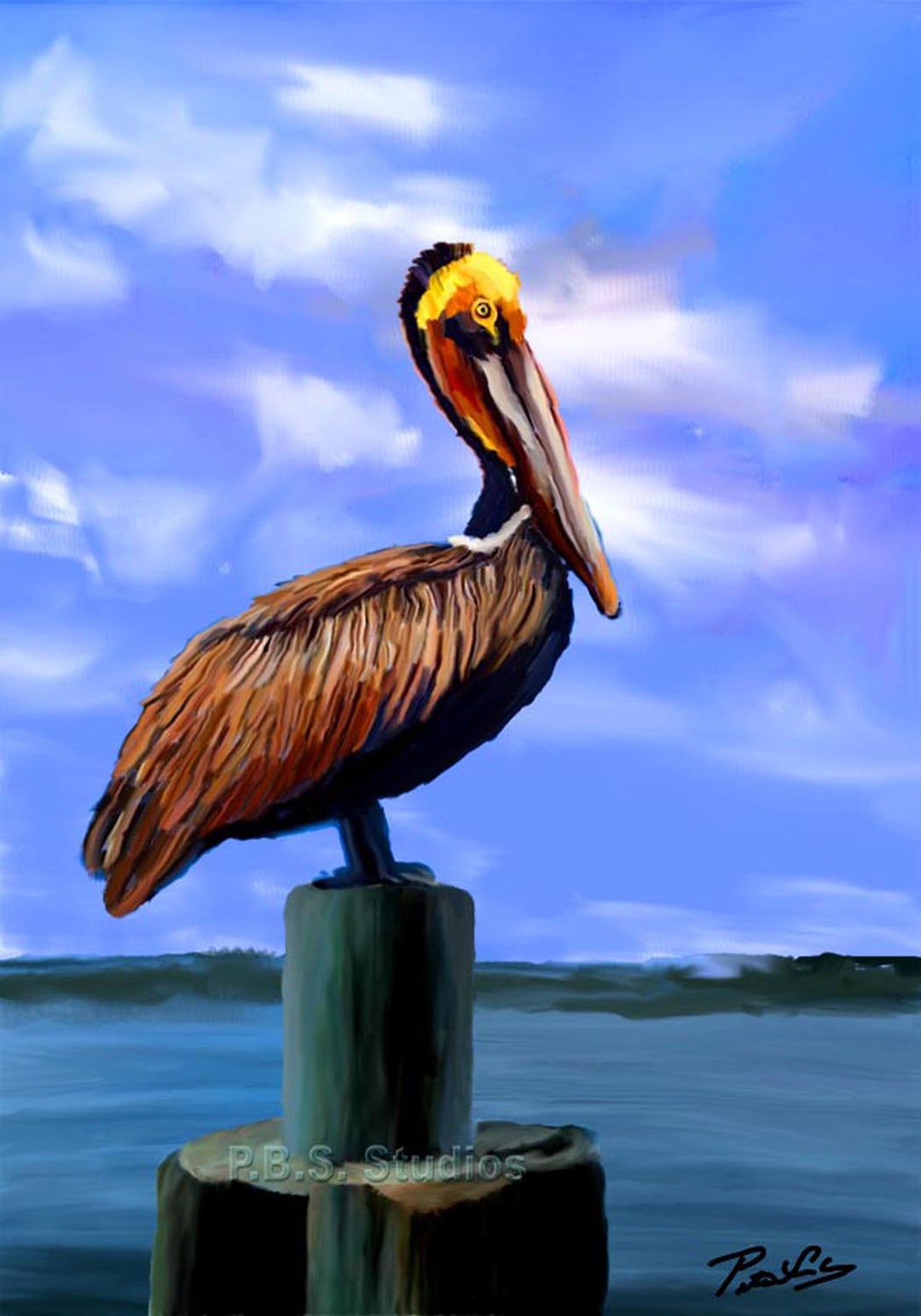 Pelican - Digital Photo-painting Print - Matted Digital Painting - Etsy