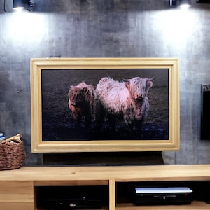 55 & 65 Inch TV Frame for Samsung the Frame TV and Frame Pro TV Models ...