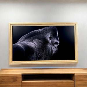 32,43,50, & 55 Inch TV Frame for Samsung the Frame TV and Frame Pro TV ...