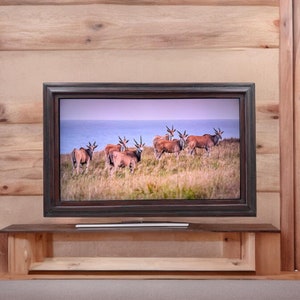 32" to 65" Inch TV Frame for Samsung the Frame TV and Frame Pro TV ...