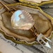 Antique Victorian Neotrigonia Shell Trident Broochc 1880 - Etsy
