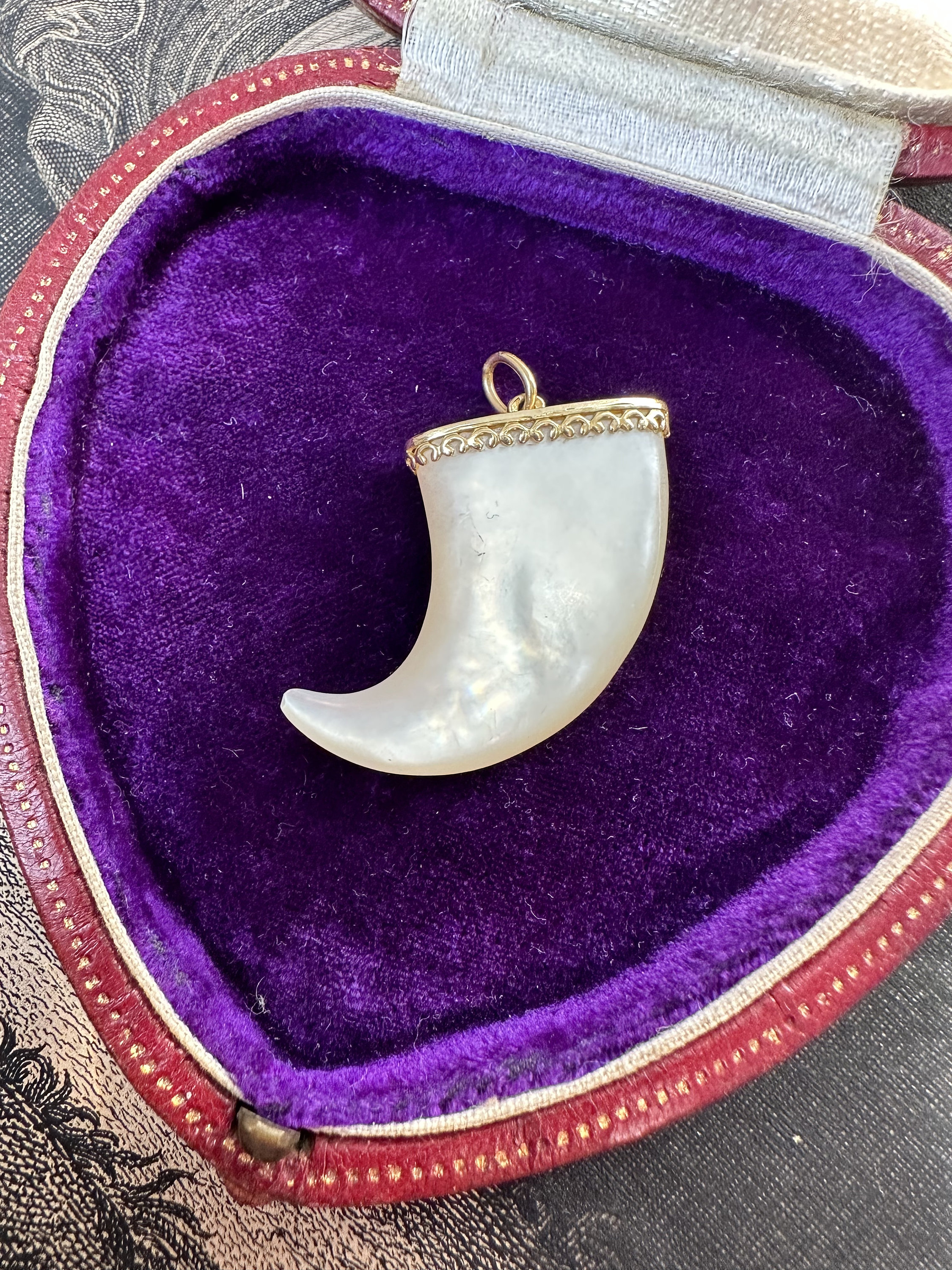 French Antique 18K Mother of Pearl Claw Pendant - Etsy
