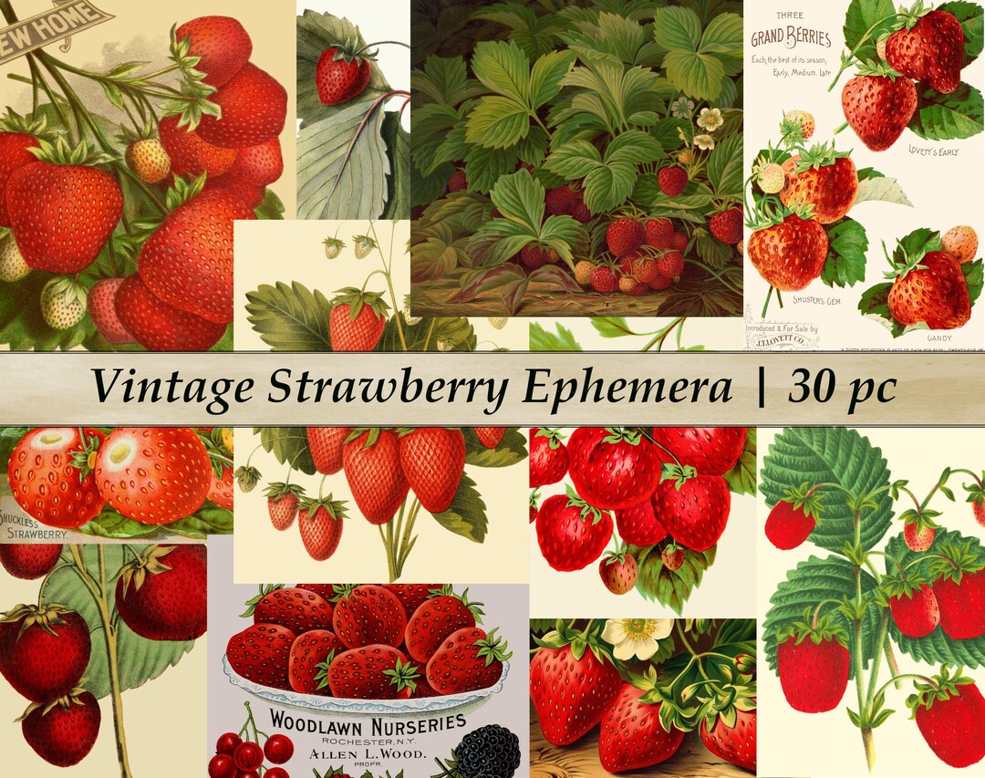Vintage Strawberry Ephemera, Strawberry Collage Sheets, Printable ...
