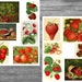 Vintage Strawberry Ephemera, Strawberry Collage Sheets, Printable ...