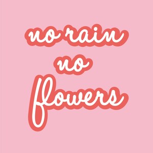 No Rain, No Flowers Typography Fun Inspirational Wall Art Decor Happy ...