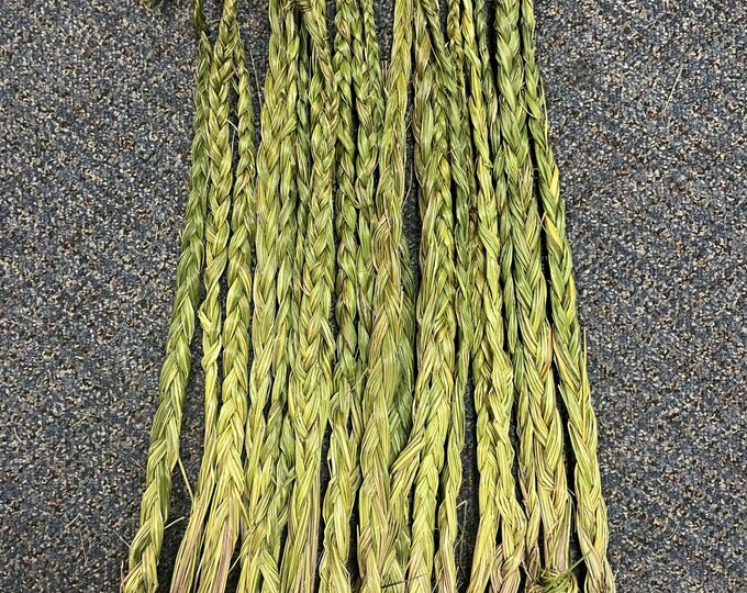 Sweetgrass/sweetgrass Braid/smudging/sacred Space/energy Clearing ...
