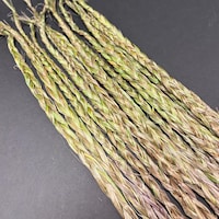 Handmade Gullah Sweetgrass Basket: African-american Craft From South ...