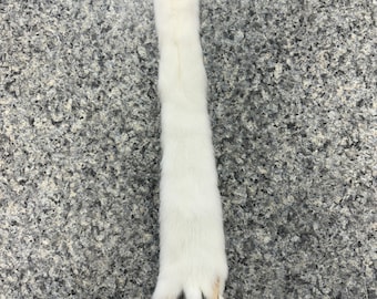 Weasel Slap Bracelet, Sherman the Ermine, White Ermine Slap Bracelet ...