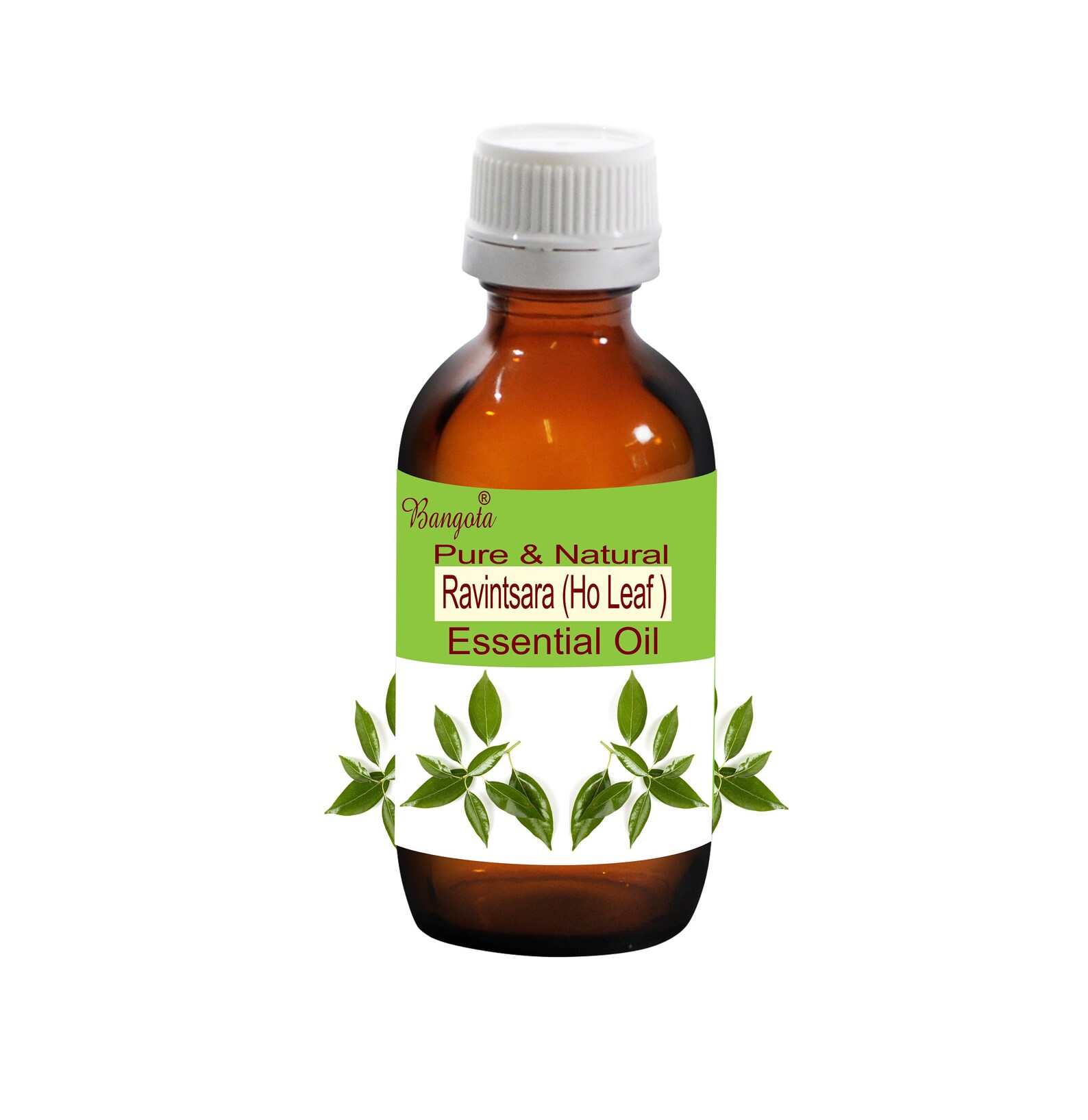 Ravintsara (ho Leaf) Pure Natural Essential Oil Cinnamomum Camphora by ...
