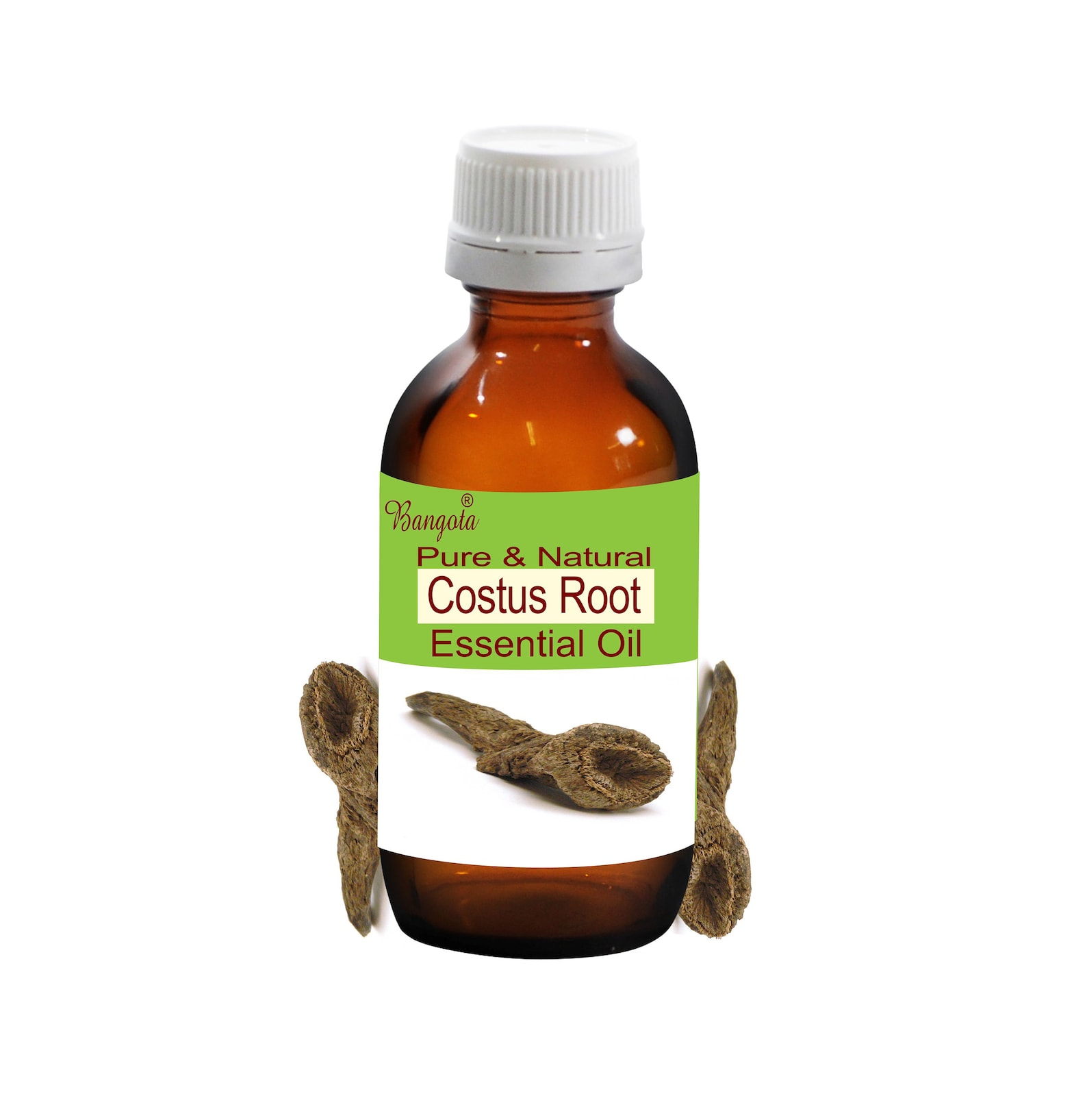 Costus Root Pure & Natural Essential Oil Saussurea Lappa by Bangota 5ml ...