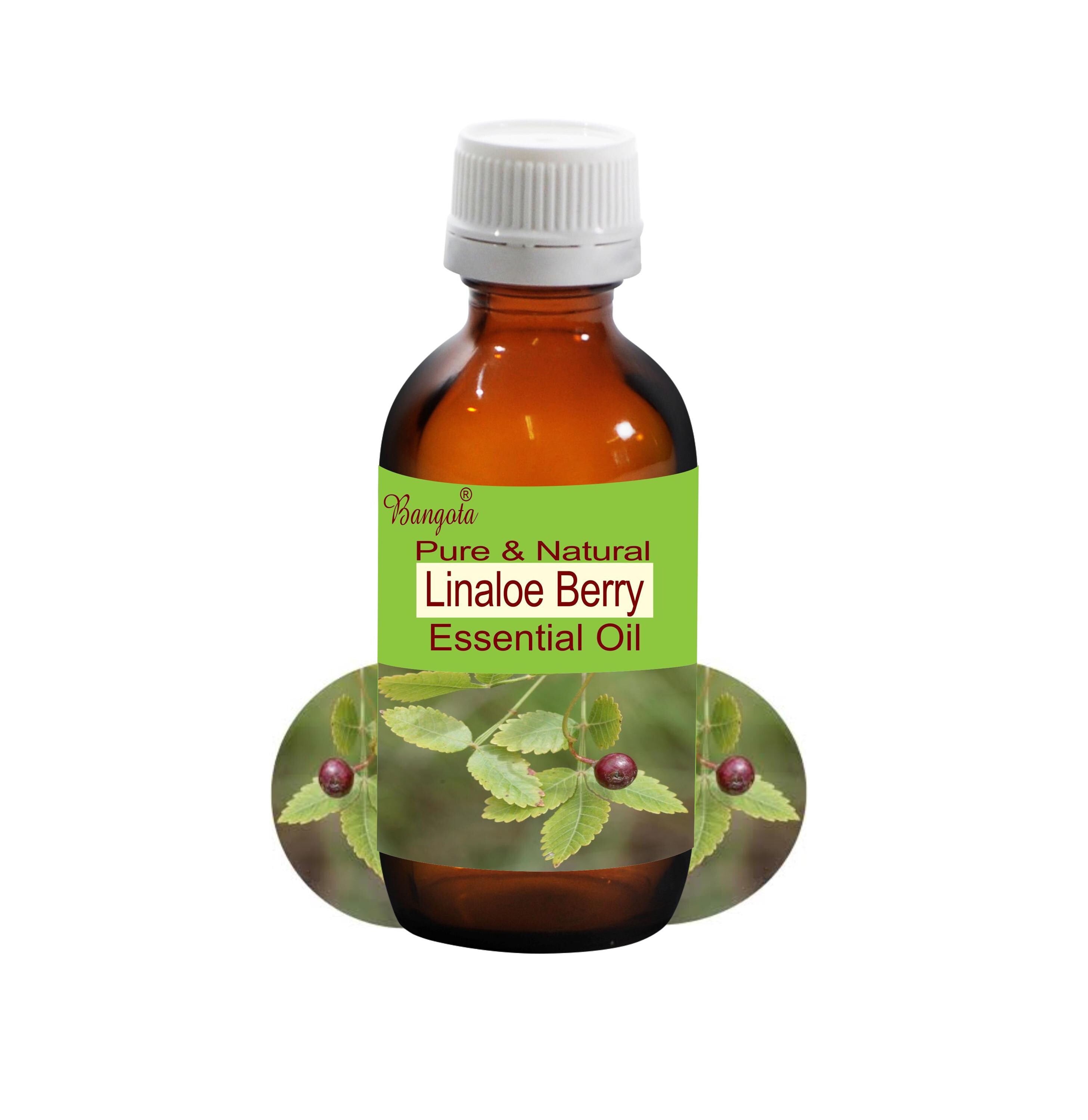 Linaloe Berry Pure & Natural Essential Oil Bursera Delpechiana by ...