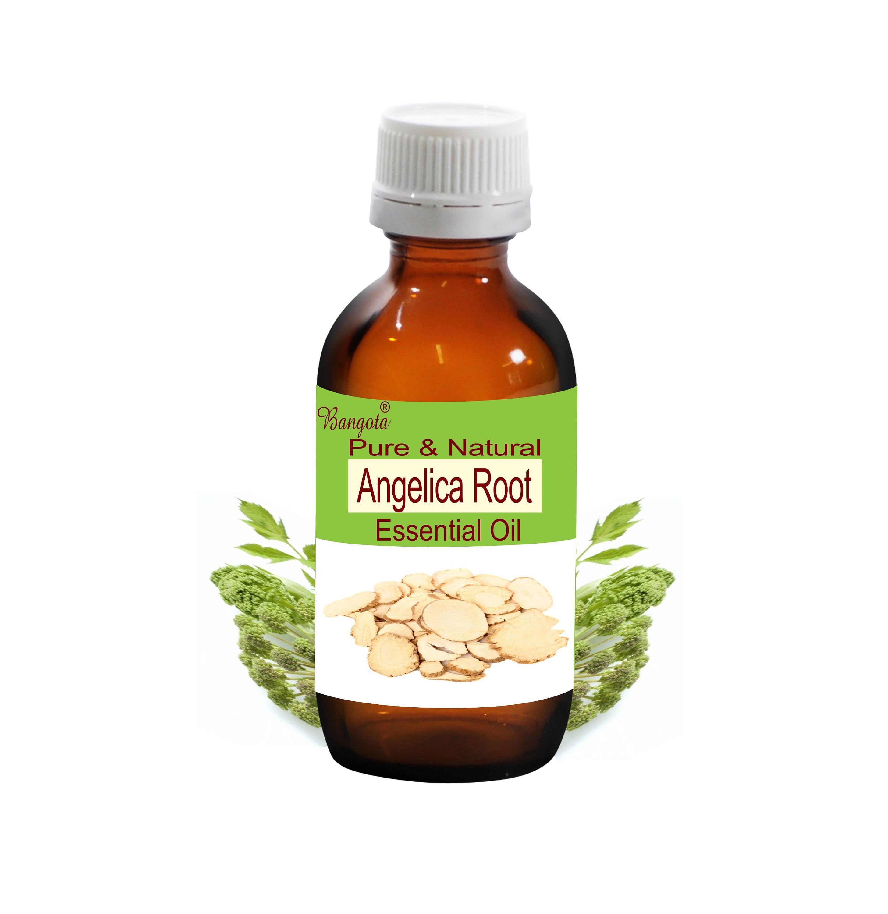 Angelica Root Pure & Natural Essential Oil Angelica Archangelica by ...