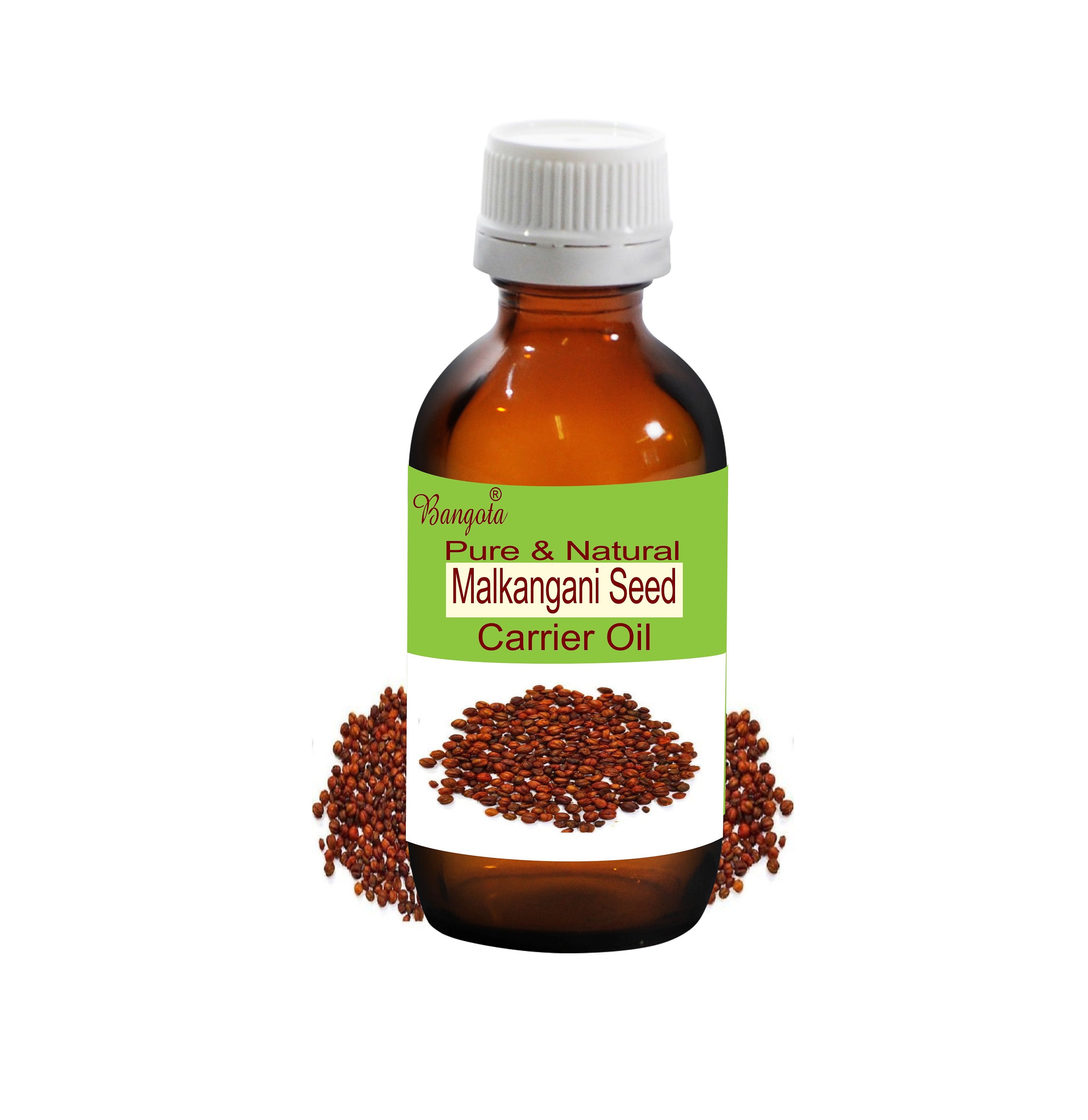 Malkangani Seed pure & Natural Carrier Oil Celastrus Paniculatus by ...