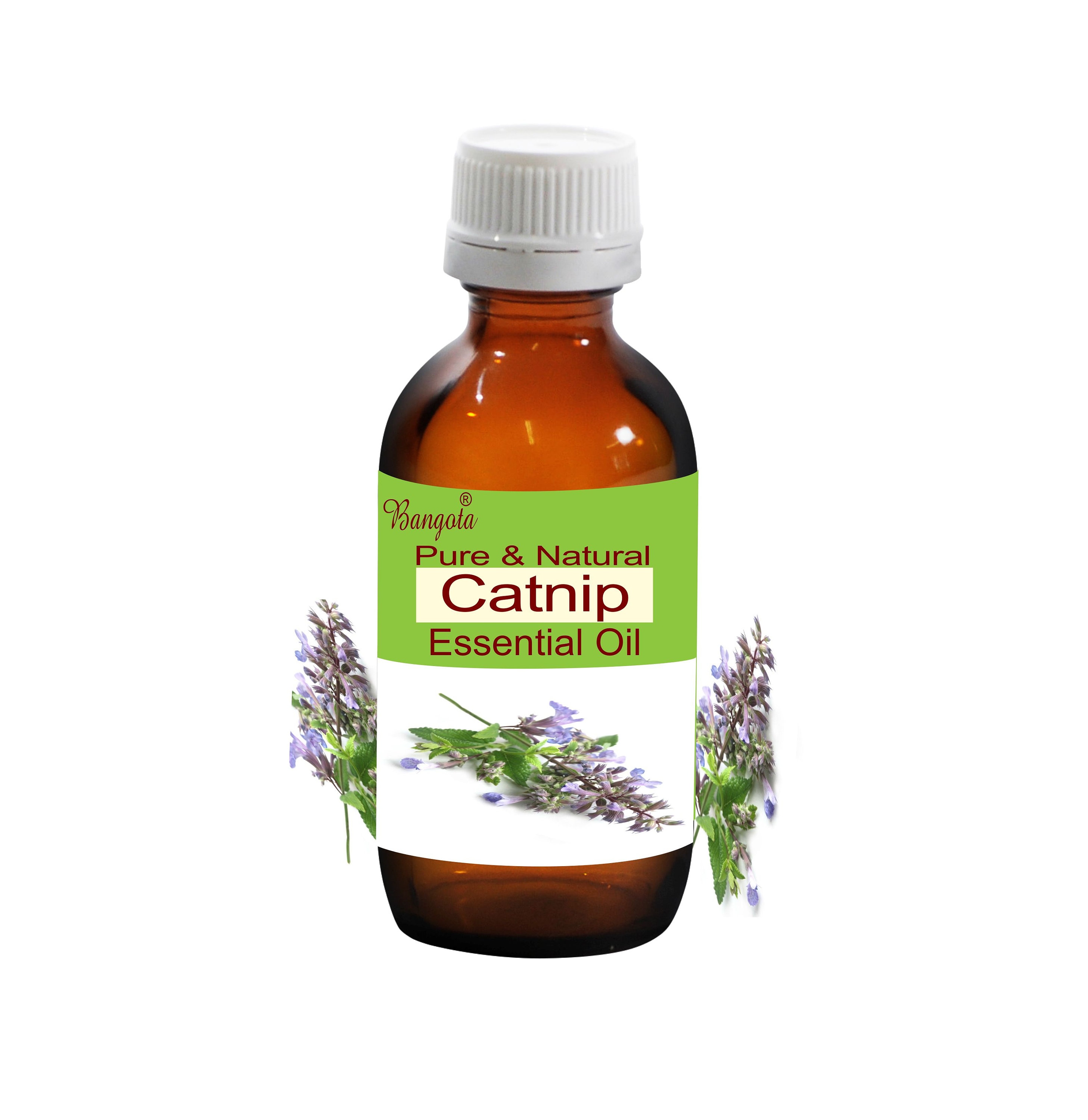 Catnip Pure & Natural Essential Oil Nepeta Cataria by Bangota (5ml to ...