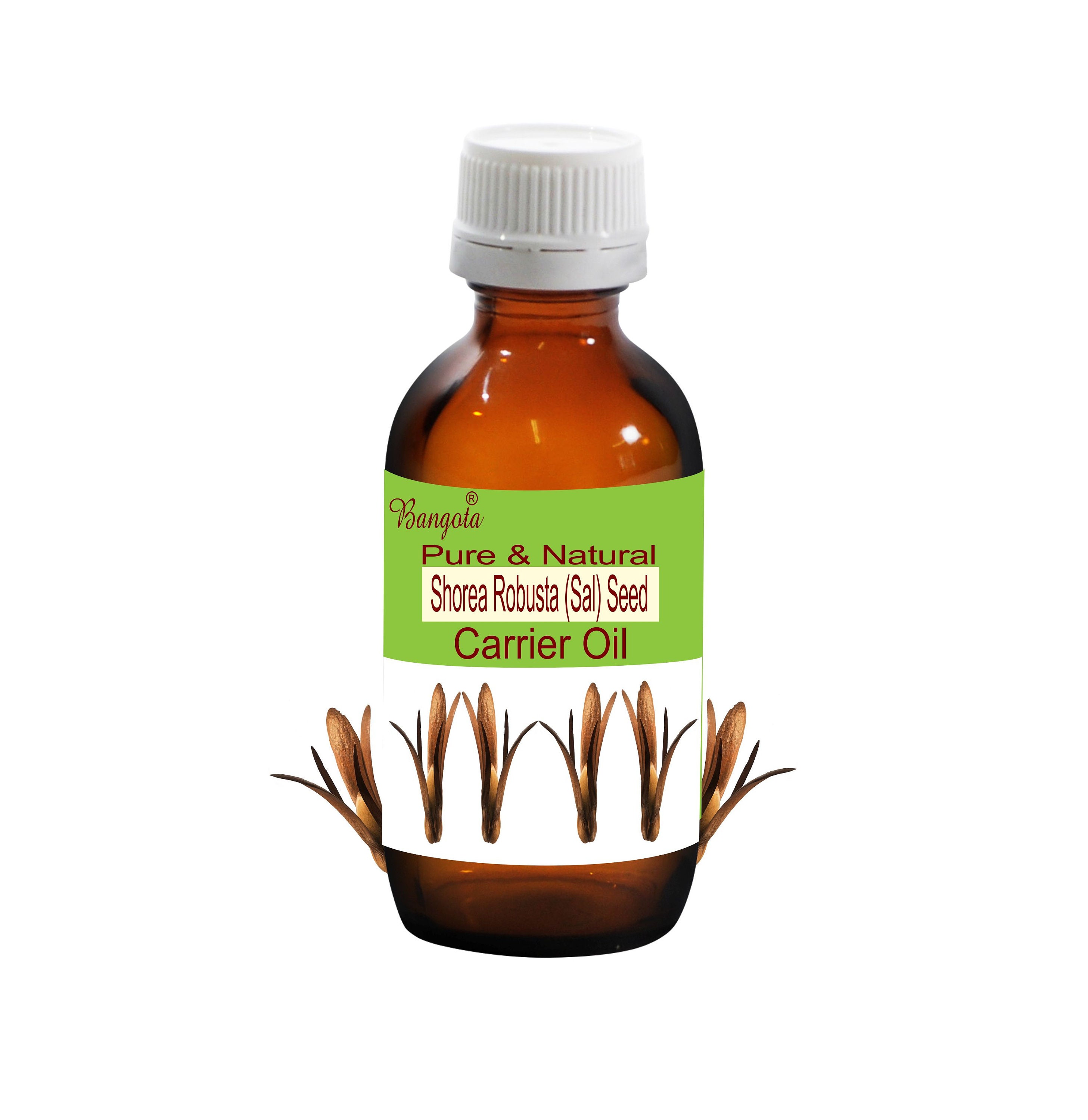 Shorea Robusta Sal Seed Pure Natural Carrier Oil Shorea robusta by ...
