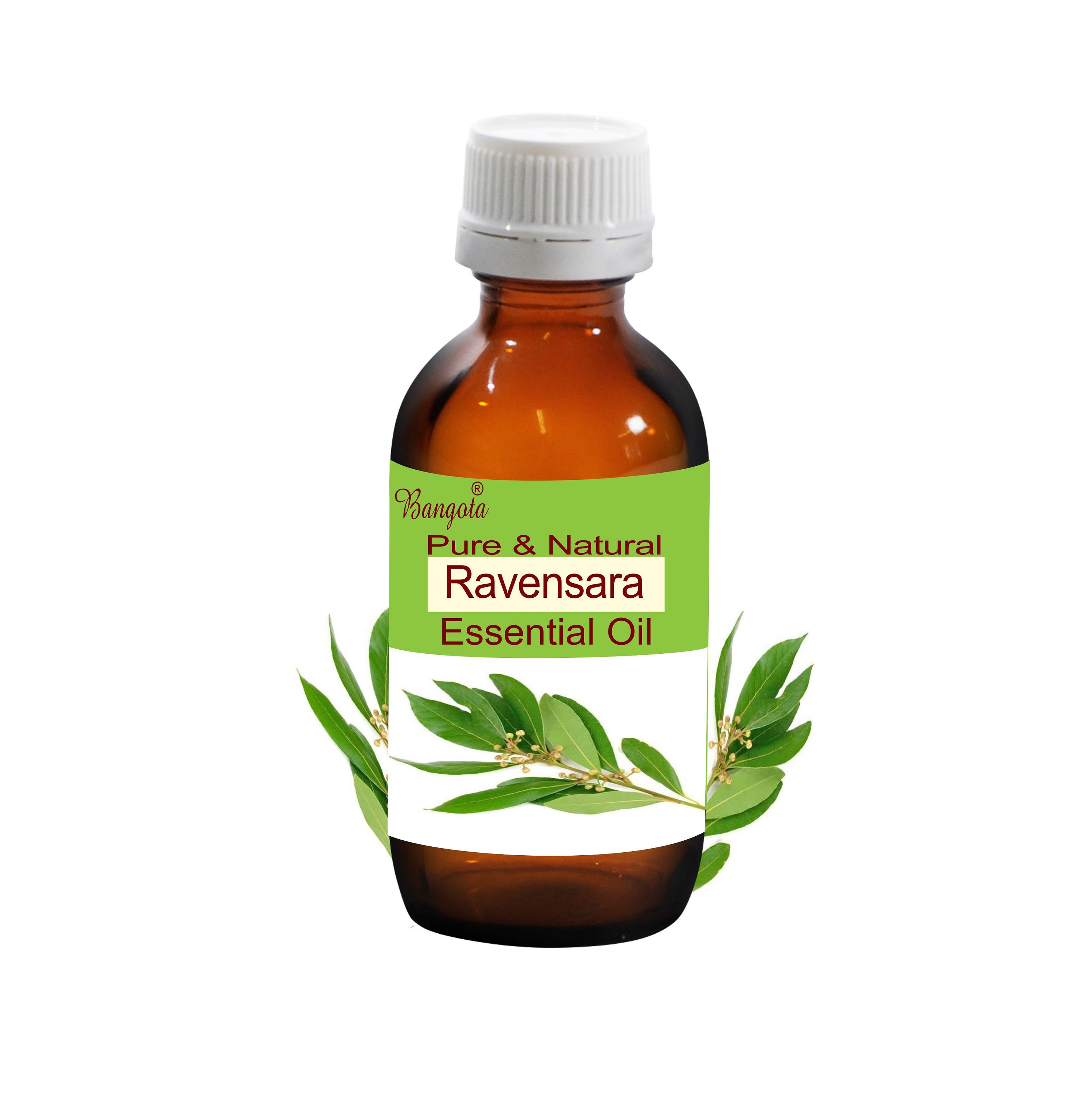 Ravensara Pure & Natural Essential Oil Ravensara Aromatica by Bangota ...