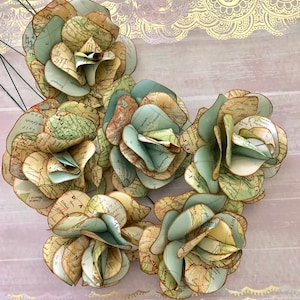 Map Roses, Road Map Roses, Atlas Roses, Map Rose Bouquet, Atlas Rose ...