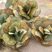 Map Roses, Road Map Roses, Atlas Roses, Map Rose Bouquet, Atlas Rose ...