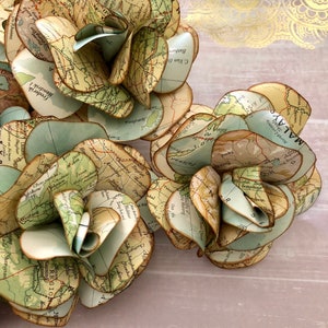 Map Roses, Road Map Roses, Atlas Roses, Map Rose Bouquet, Atlas Rose ...