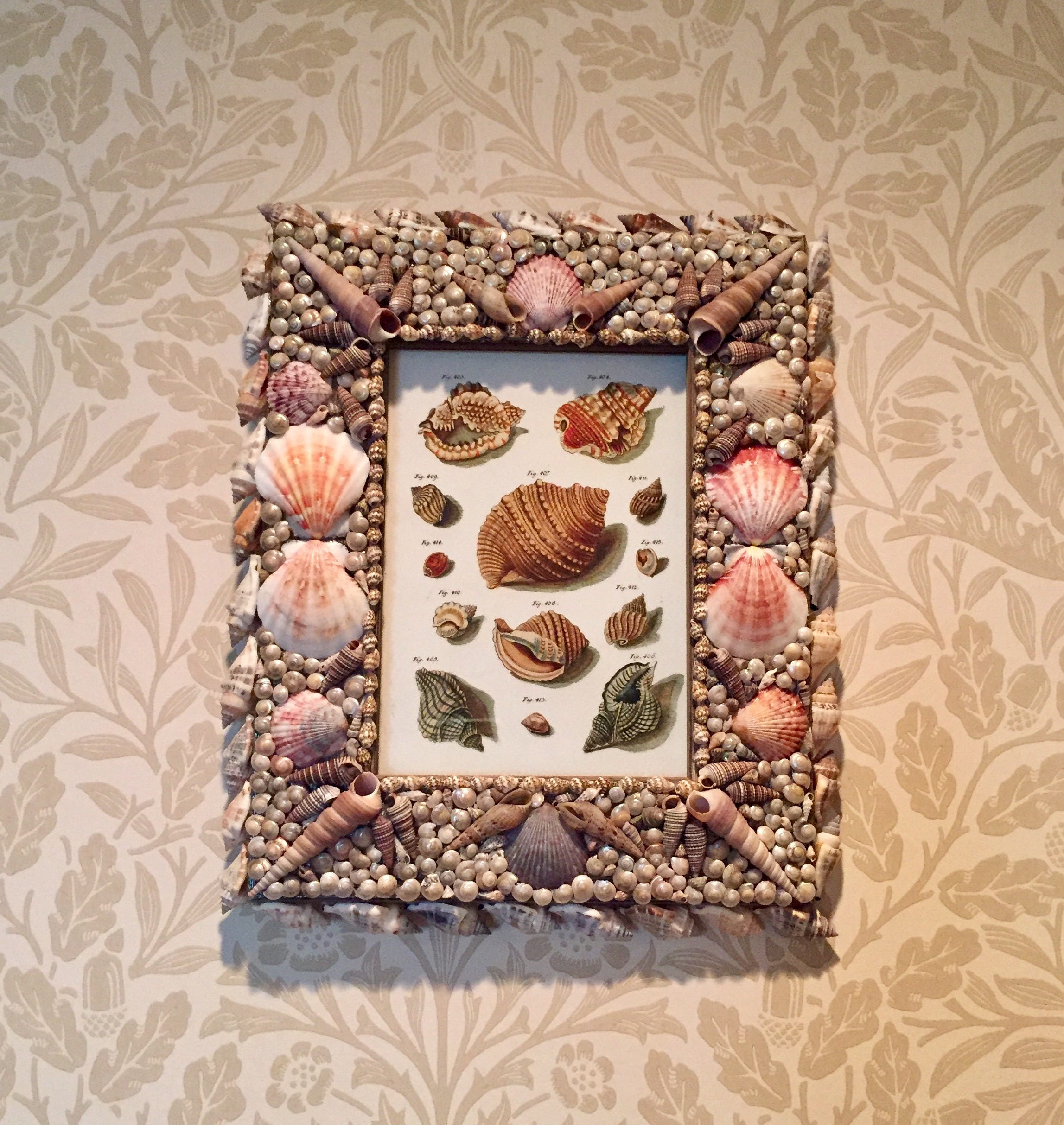 Handmade Seashell Frame With Print of Seashells - Etsy