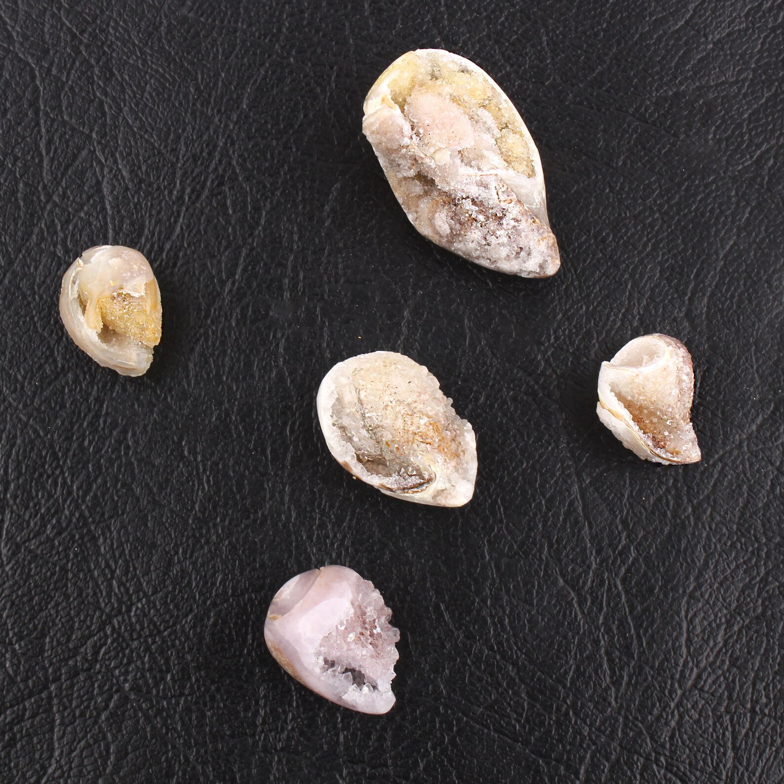 Natural Shell Druzy Drilled Shells Sea Shell Crystal Shell - Etsy