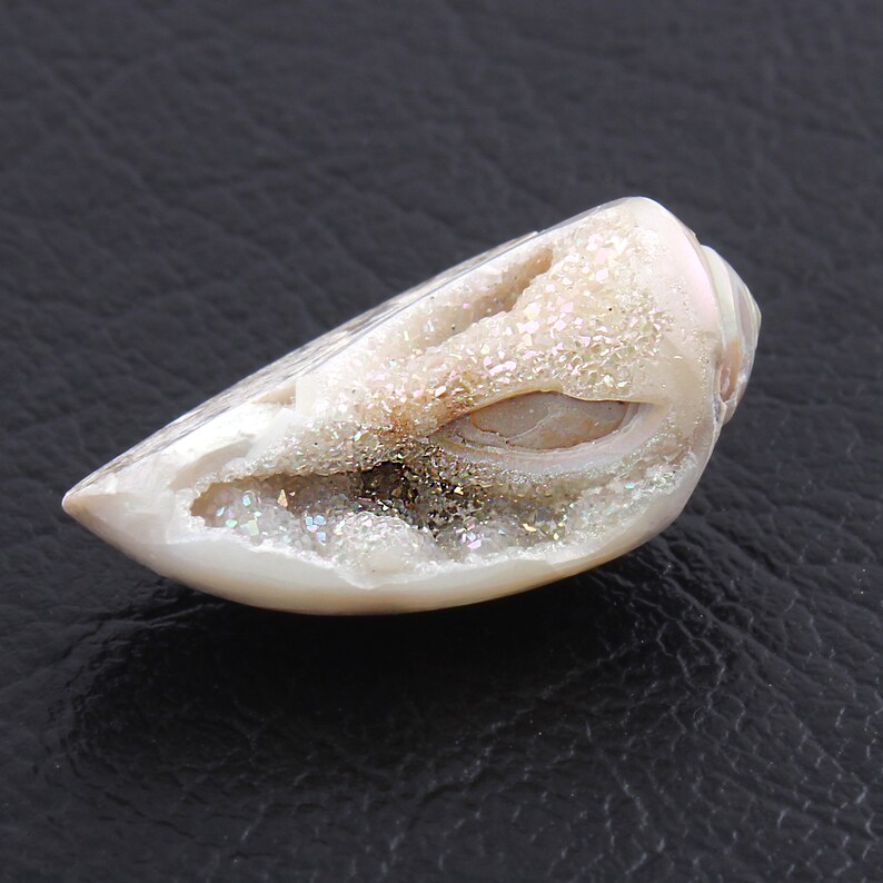 Real Shells Coated Shell Druzy Sea Shells Shells DIY Shell - Etsy