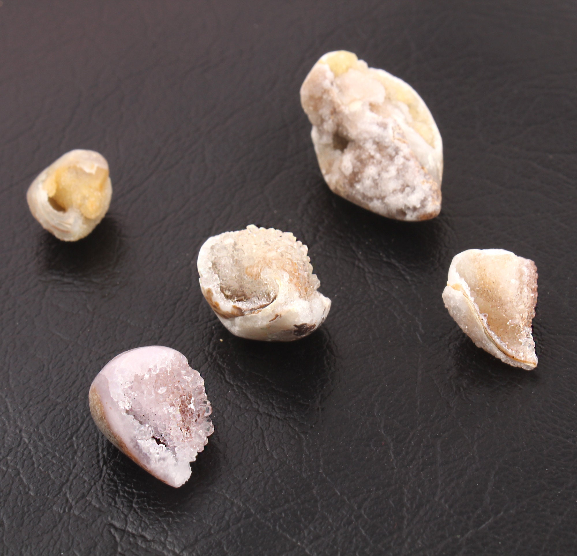 Natural Shell Druzy Drilled Shells Sea Shell Crystal Shell - Etsy