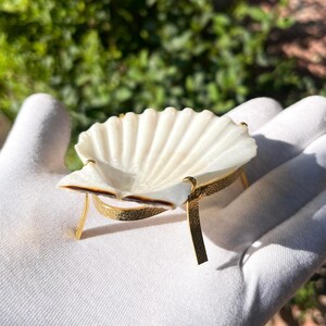 Seashell Jewelry Display Stand: Gold Plated Coastal Home Decor - Etsy