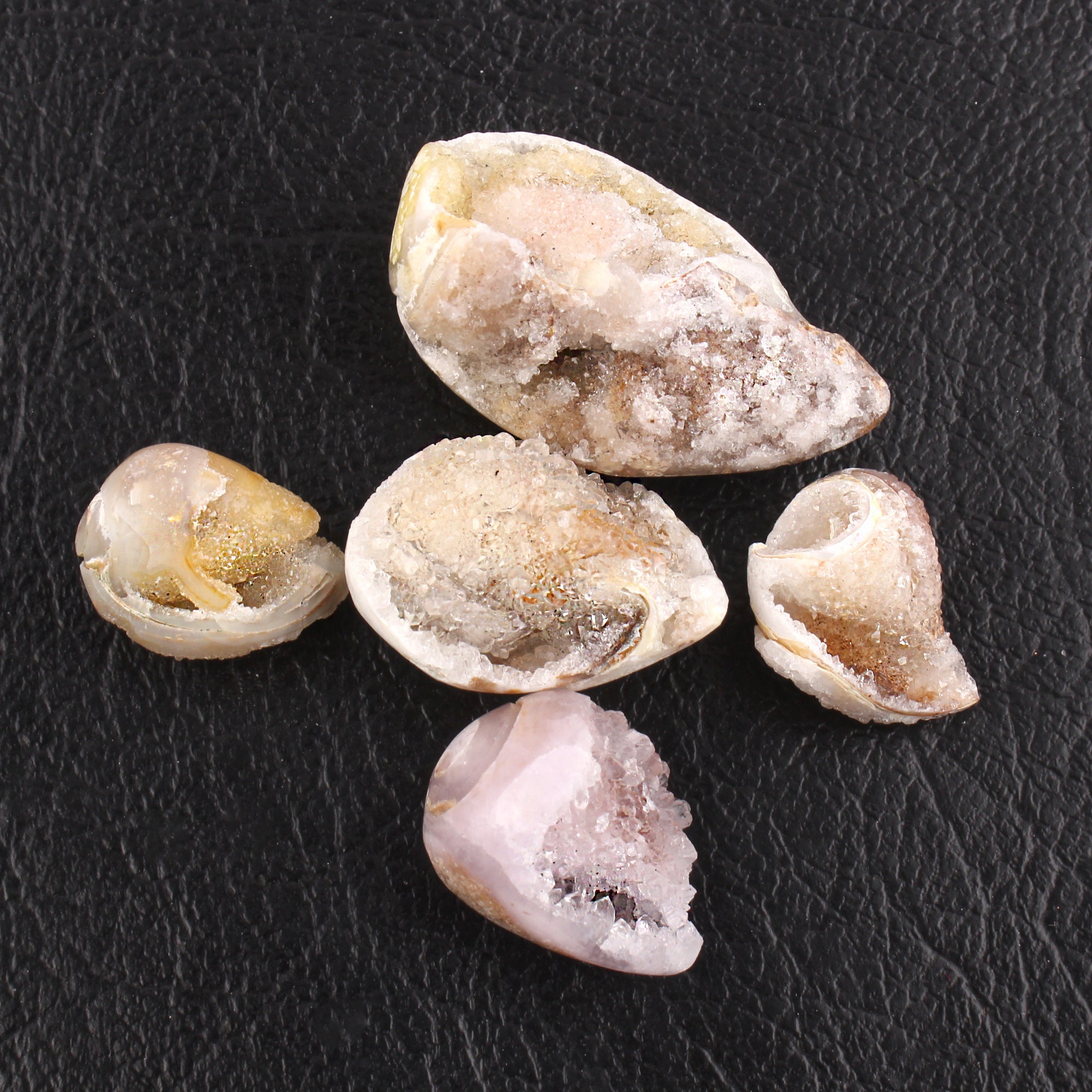 Natural Shell Druzy Drilled Shells Sea Shell Crystal Shell | Etsy