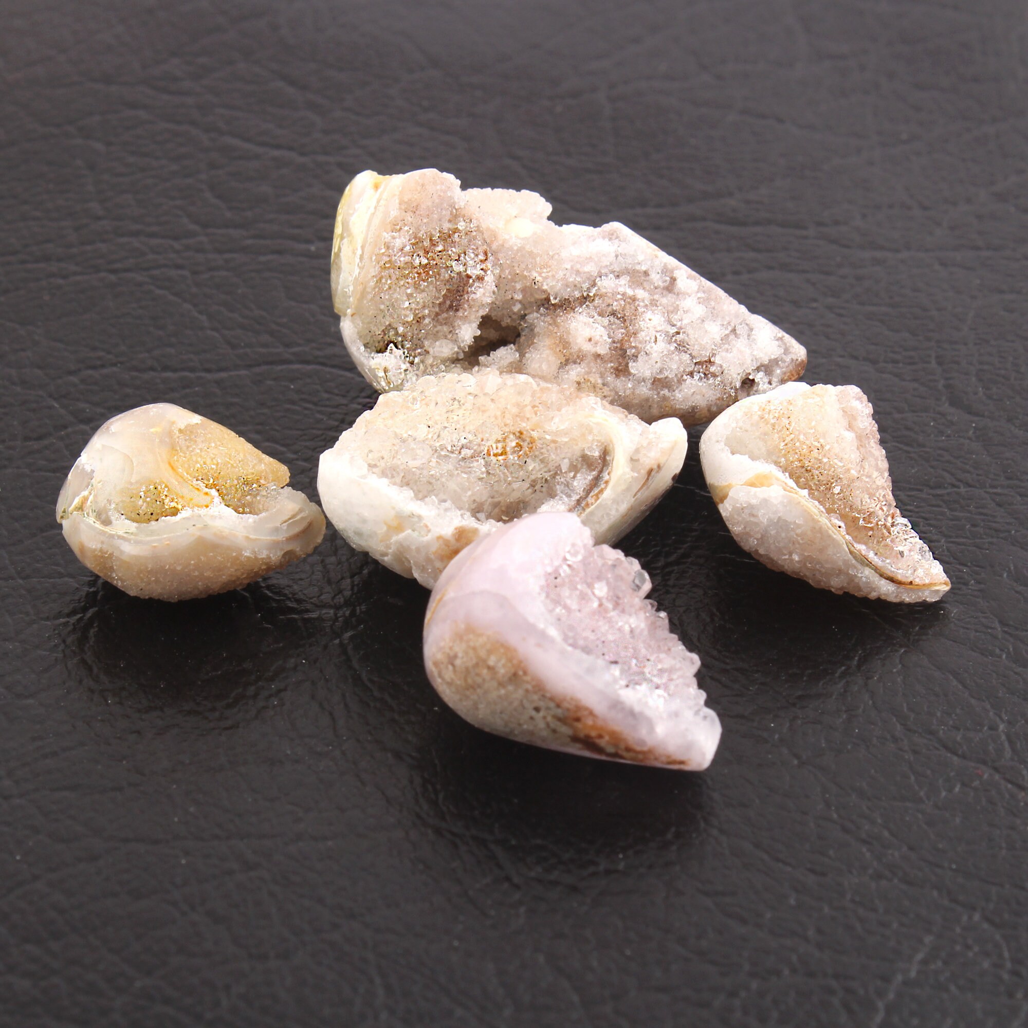 Natural Shell Druzy Drilled Shells Sea Shell Crystal Shell - Etsy