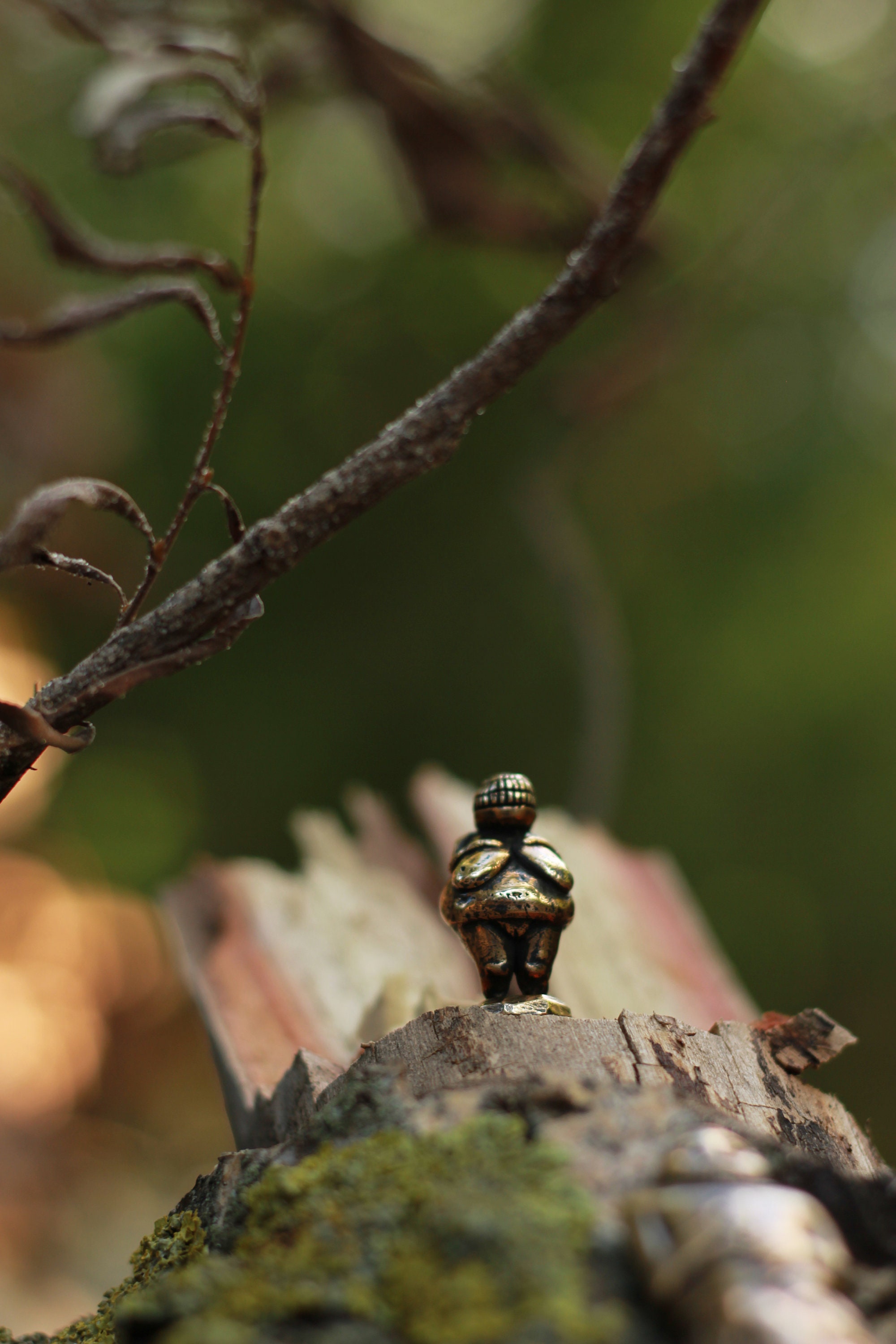 Venus of Willendorf, Venus, Paleolithic, Prehistoric, Bronze Art, Ice ...
