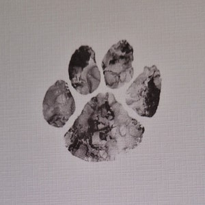 Pet Loss Card | Sympathy Poem | Pet Bereavement Card | Dog Cat Loss ...