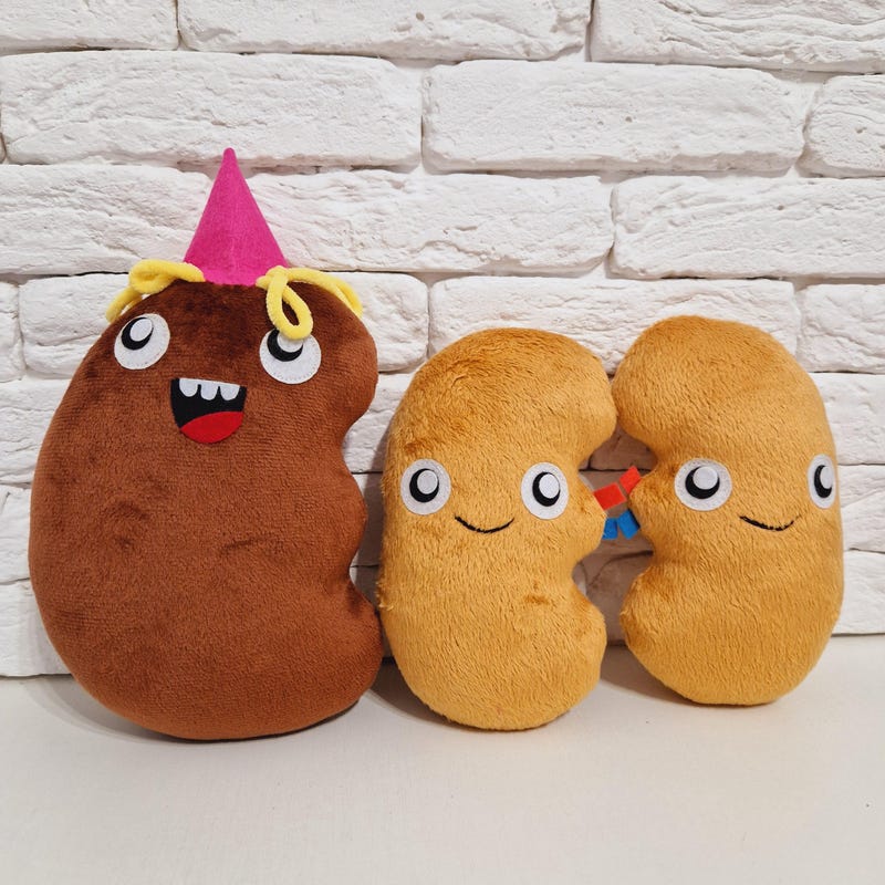 Giioroy® Kidney Health Softgels - Etsy Canada