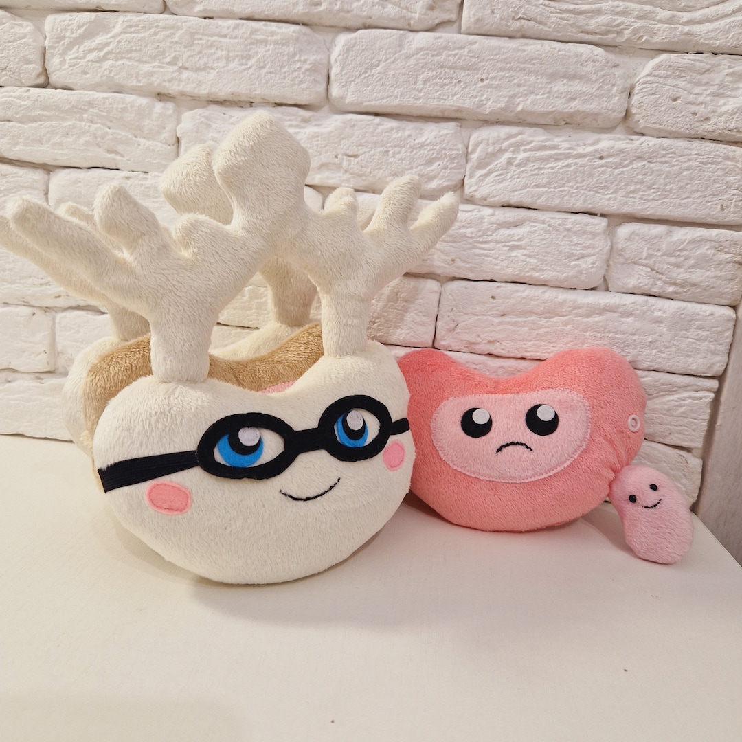 Plush Vertebra & Intervertebral Disc Toy: Joint Anatomy Set - Etsy