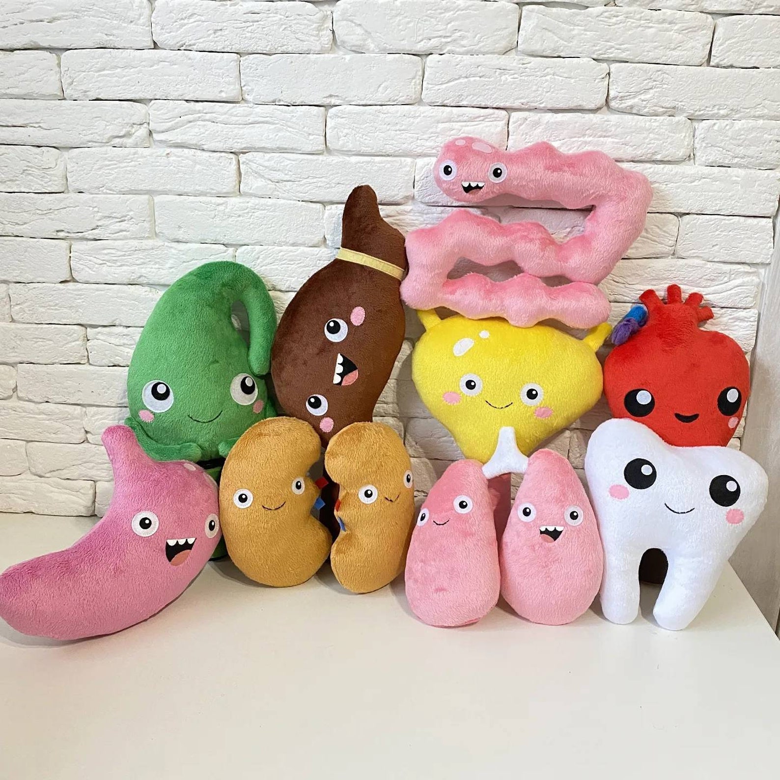 Internal Organs, Human Organs, Organs, Liver, Kidneys, Gallbladder ...