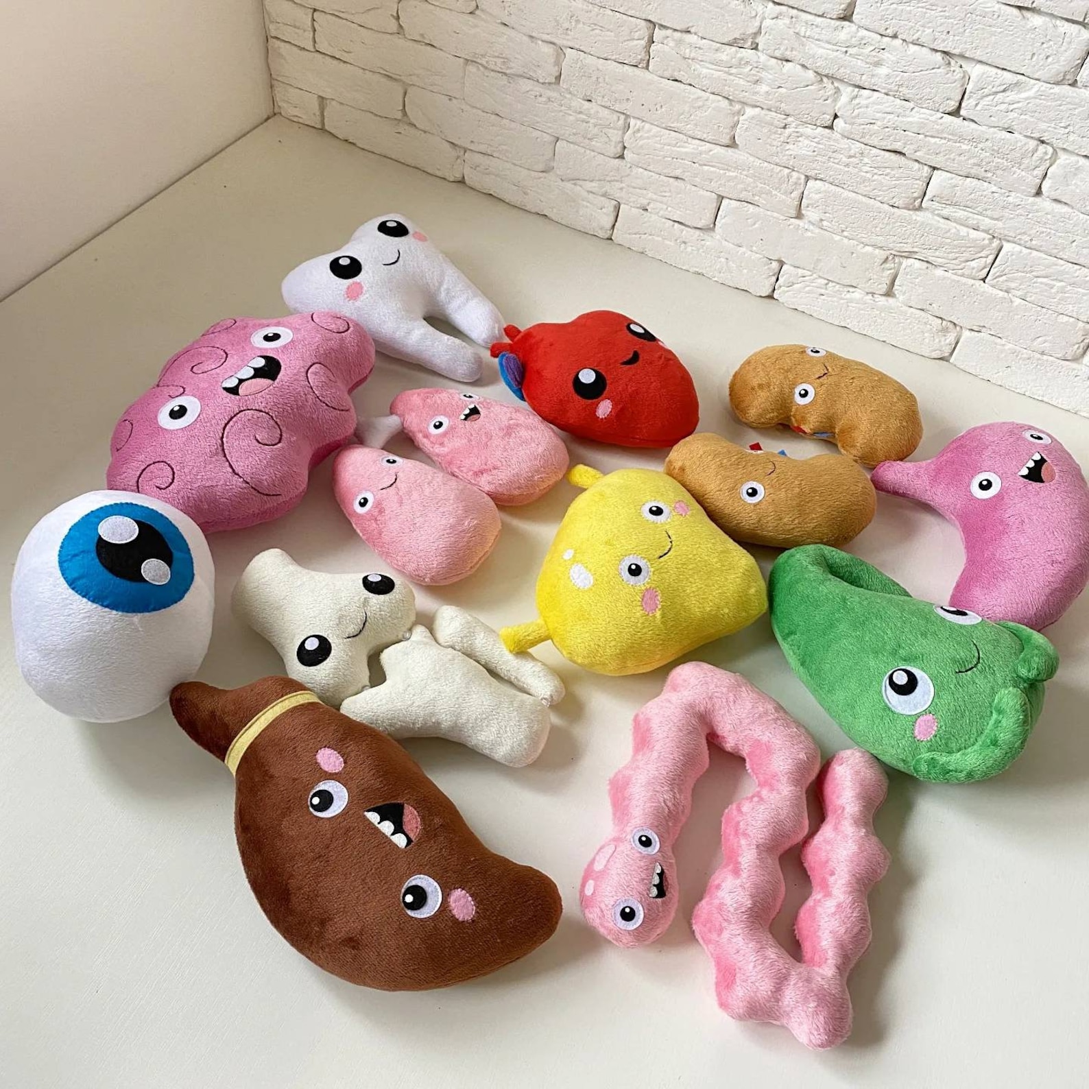 Internal Organs, Human Organs, Organs, Liver, Kidneys, Gallbladder ...