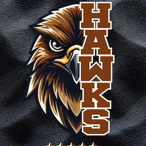 Bold Hawks Mascot Design, Hawks , Sublimation Design, Mascot Png, Sport ...