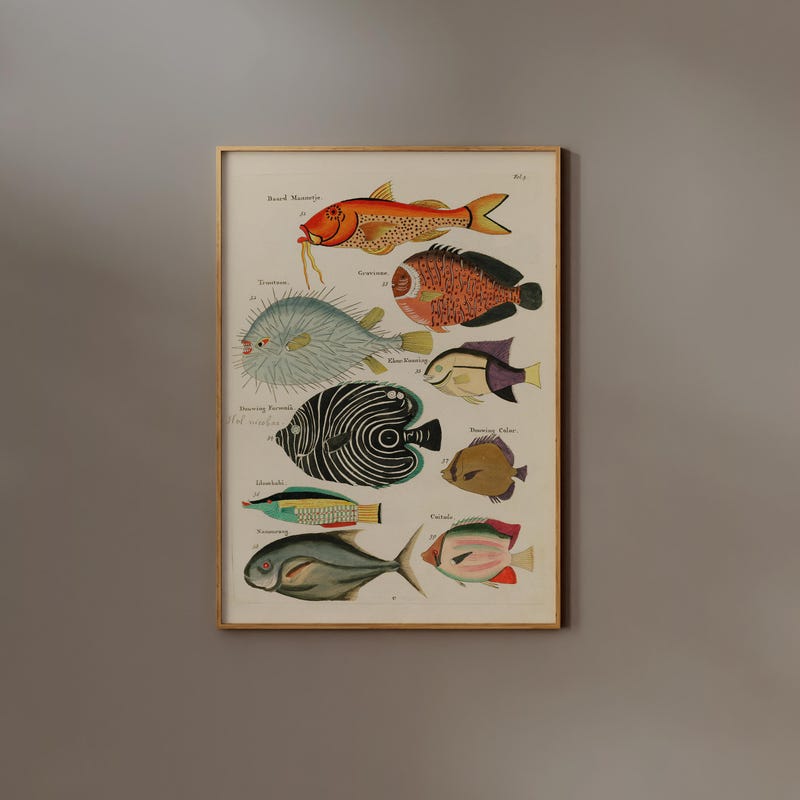 Vintage Fish Poster - Etsy