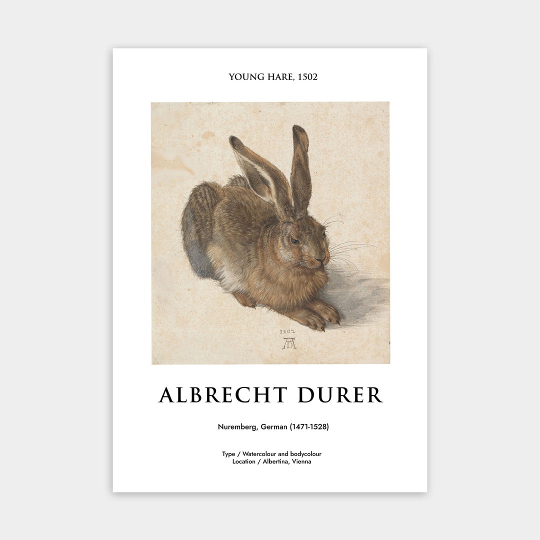 Albrecht Durer Rabbit Print Young Hare Vintage Exhibition Museum Poster ...
