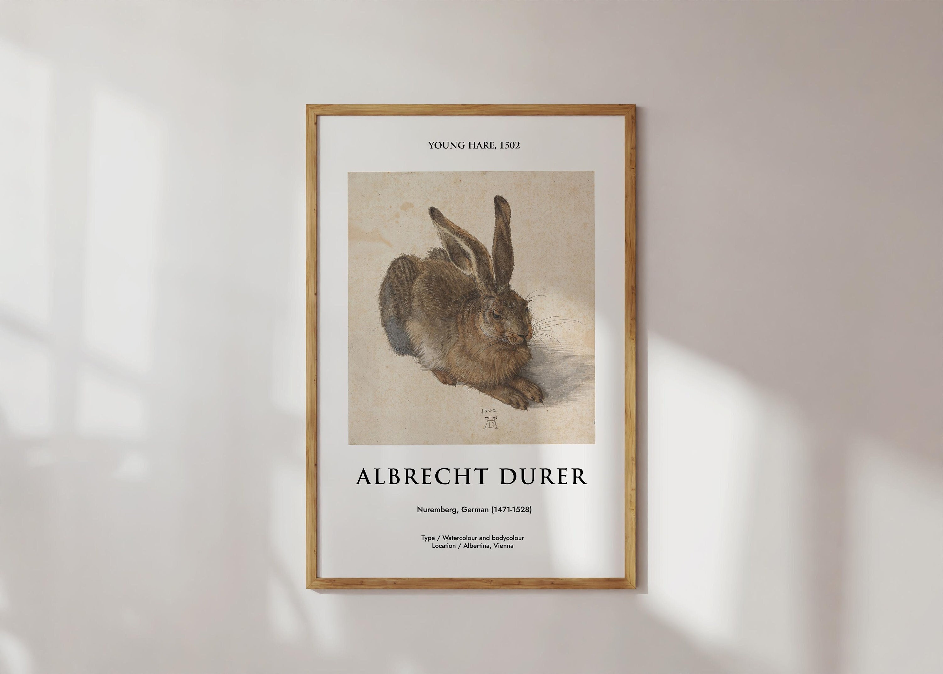 Young Hare Albrecht Durer